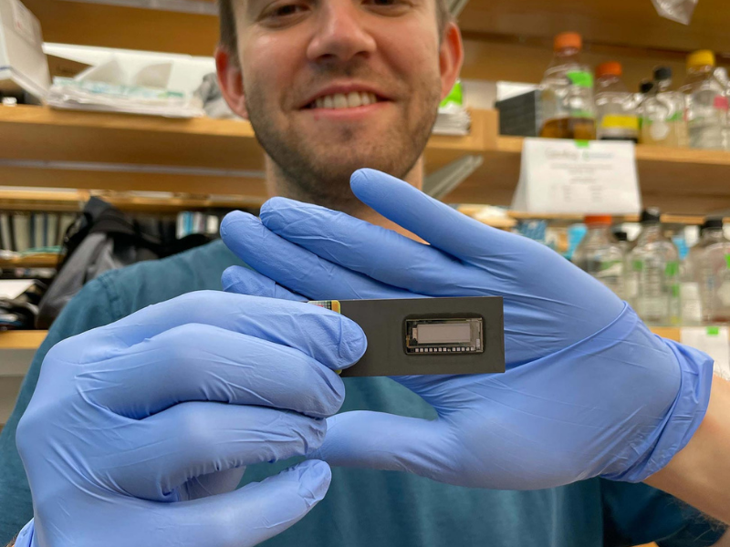 New DNA Modern Technology Based on CRISPR Can Reinvent Medical ...