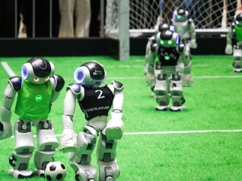 Maxvision Acquires Nao and Pepper from Aldebaran - Scitke