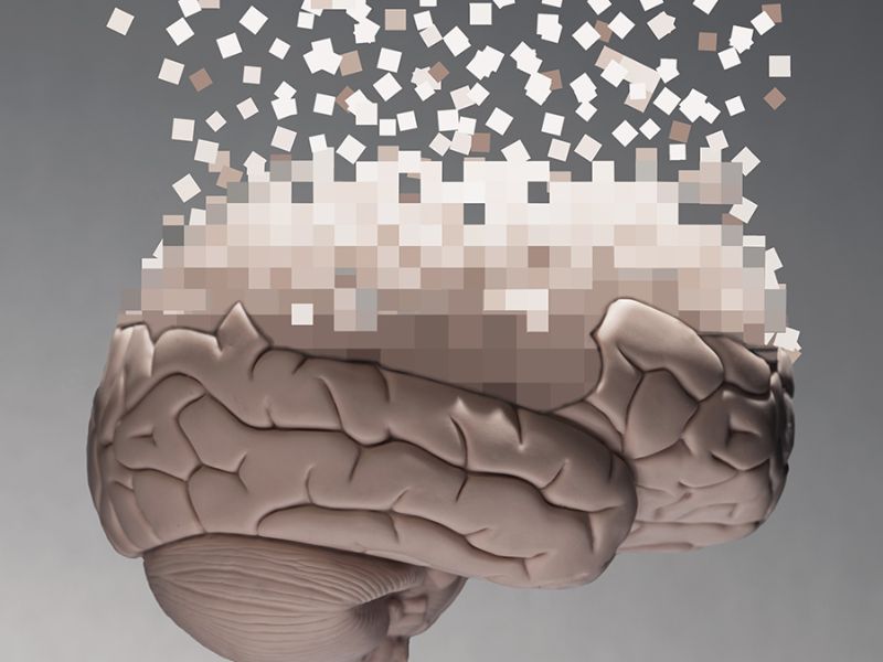 10,000 Brain Scans Explain How Aging Impairs Memory - Scitke